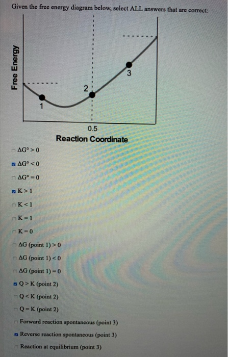 Solved Given the free energy diagram below, select ALL | Chegg.com