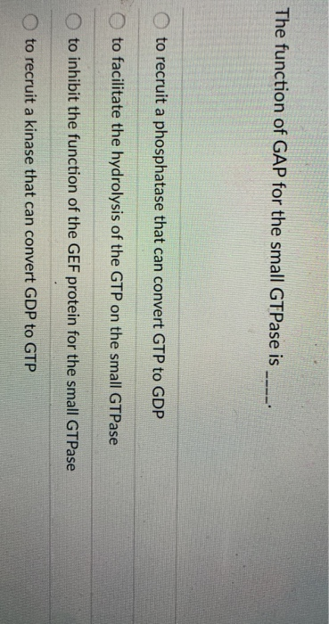 Solved The function of GAP for the small GTPase is O to | Chegg.com
