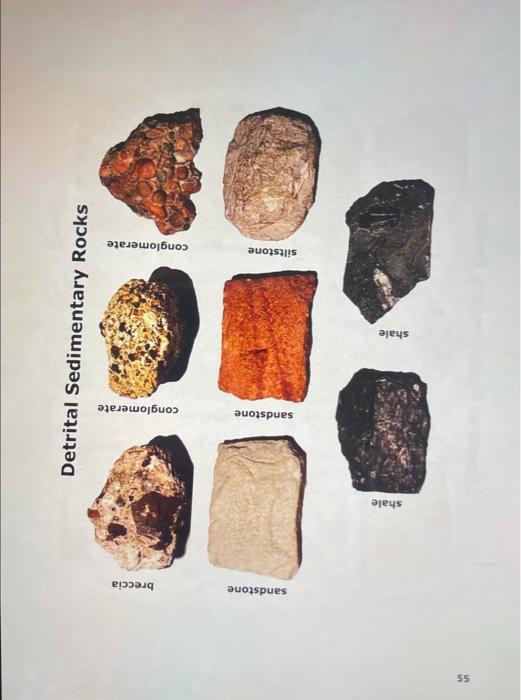 Solved Lab 10: Rocks and Rock Identification In this fob you | Chegg.com