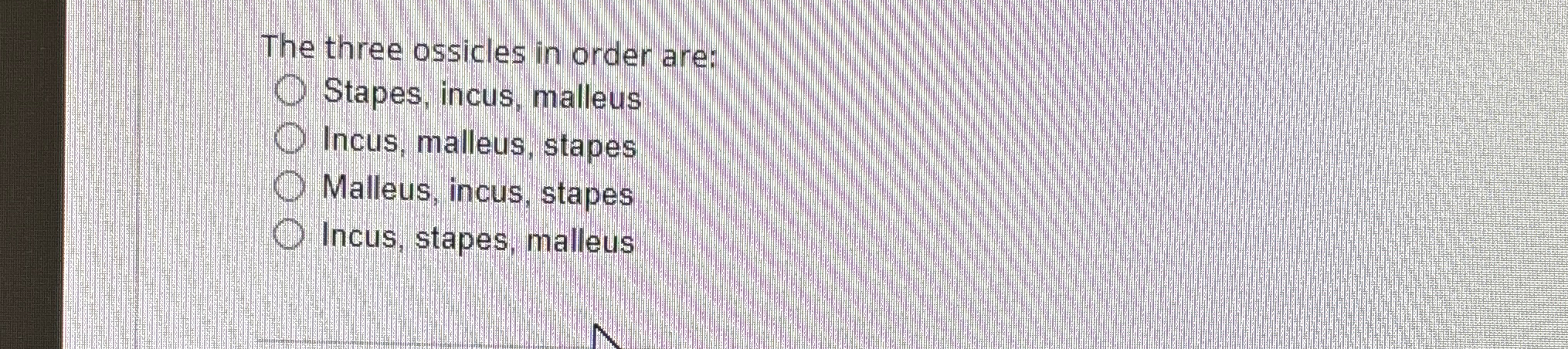 Solved The three ossicles in order are:Stapes, incus, | Chegg.com