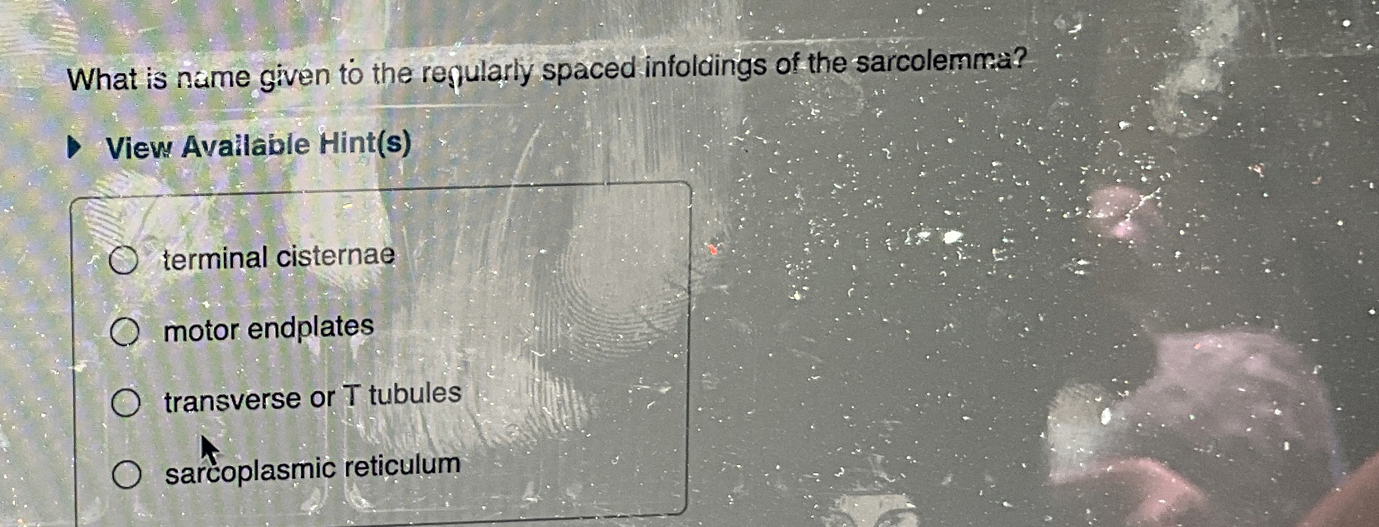 Solved What is name given to the reqularly spaced infoldings | Chegg.com