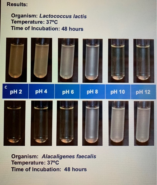 Solved present and performed this exercise (initials) 2-9 | Chegg.com
