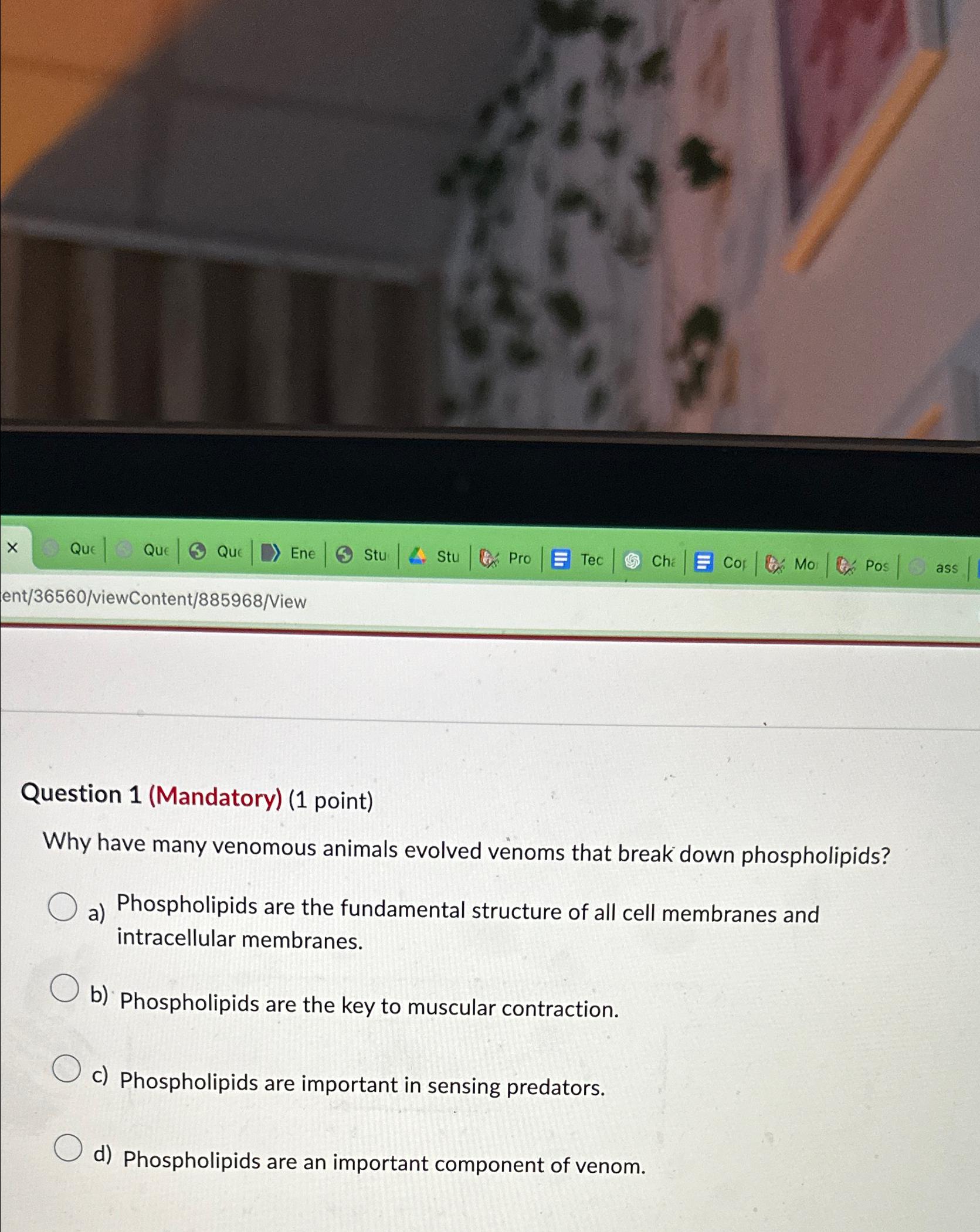 Solved Question 1 (Mandatory) (1 ﻿point)Why have many | Chegg.com
