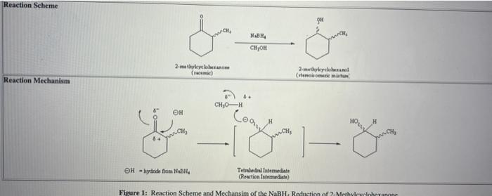 Solved Using the reaction mechanism below sketch the | Chegg.com