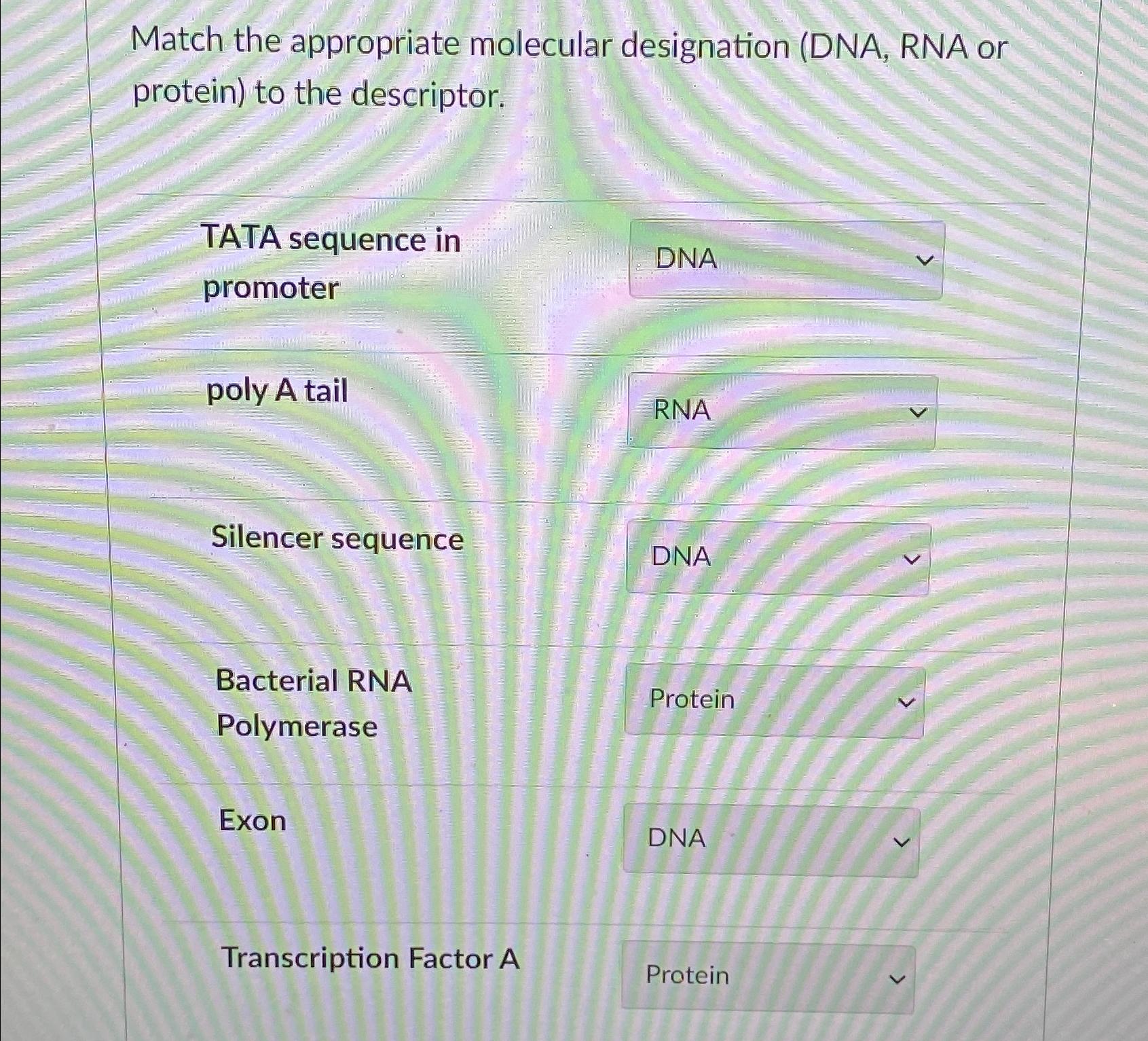 Solved Match the appropriate molecular designation (DNA, | Chegg.com