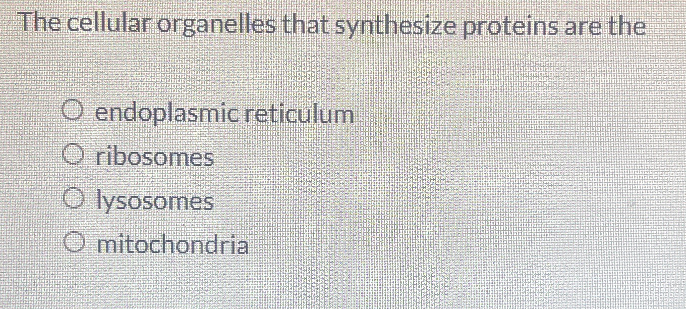 Solved The cellular organelles that synthesize proteins are | Chegg.com