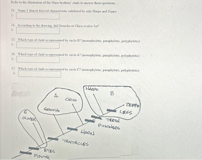 Solved 13. Name 1 shared derived characteristic exhibited by | Chegg.com