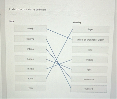 Match the root with its definition:RootMeaningvessel | Chegg.com