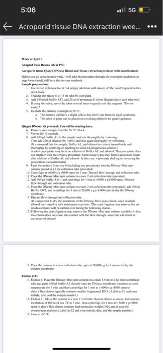 What was the purpose of adding lysis buffer and | Chegg.com