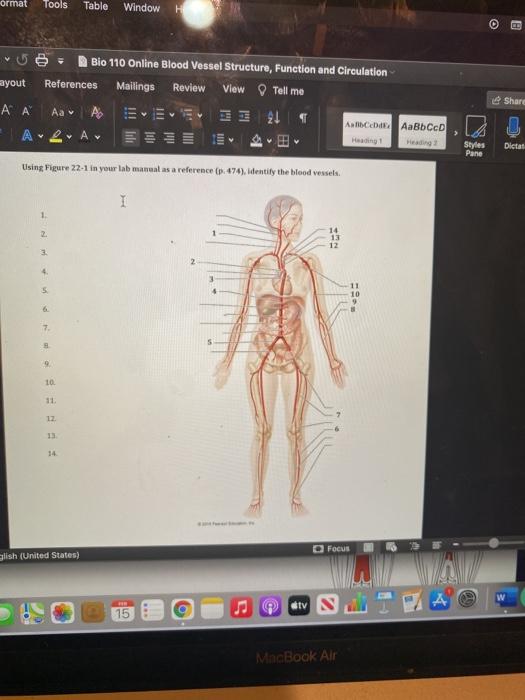 Solved ormat Tools Table Window H O B Bio 110 Online Blood | Chegg.com