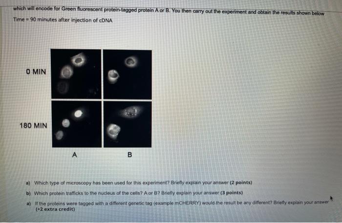 Solved (TOTAL POINTS 5) Microinjection is a powerful | Chegg.com