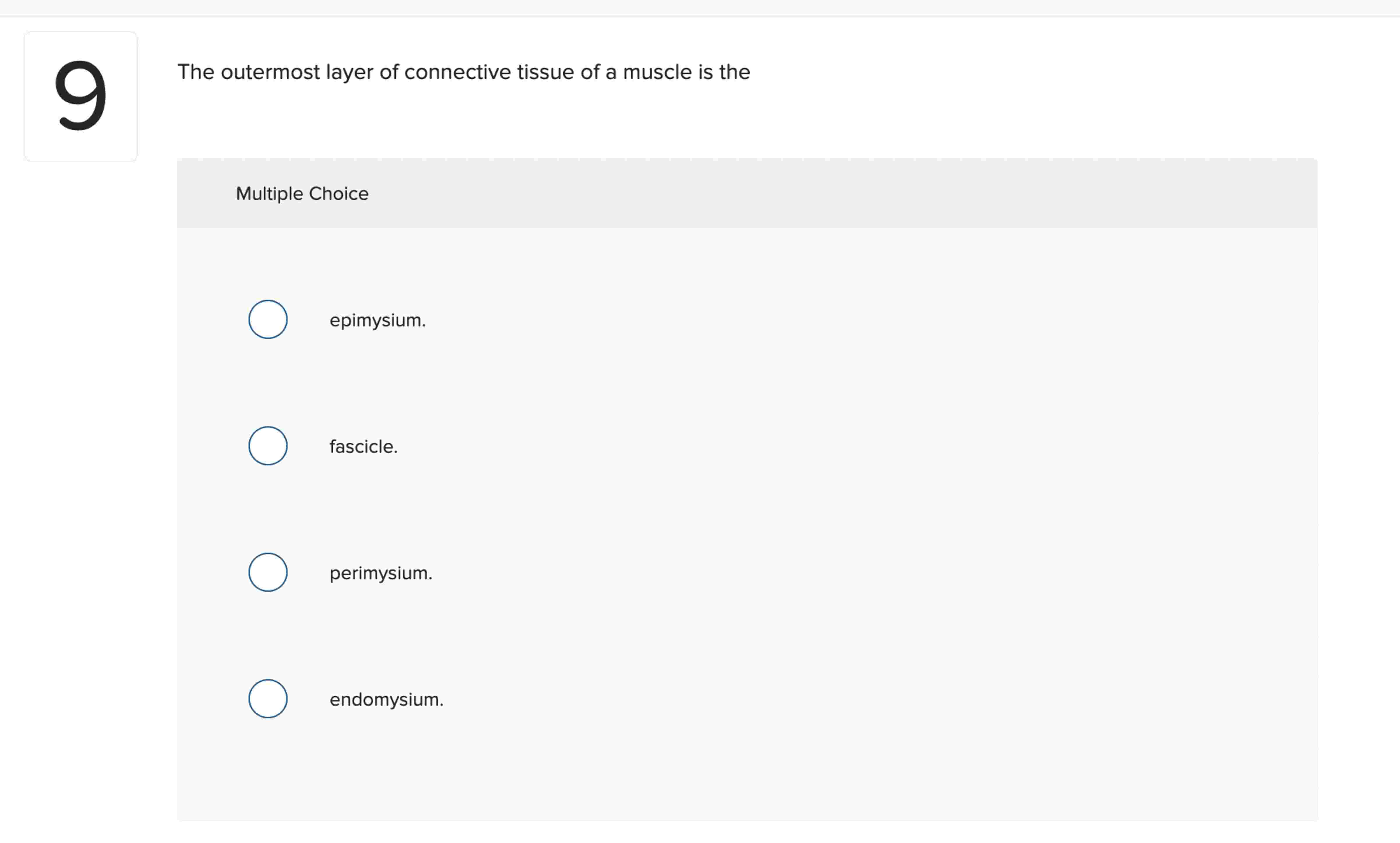 Solved The outermost layer of connective tissue of a muscle | Chegg.com