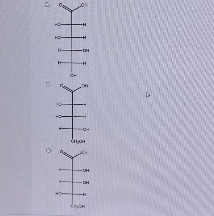 Solved Choose the correct Fischer projection for the | Chegg.com