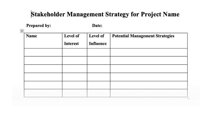 Solved Stakeholder Management Strategy for Project Name | Chegg.com