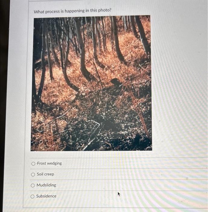 [Solved]: 27 What process is happening in this photo? Frost