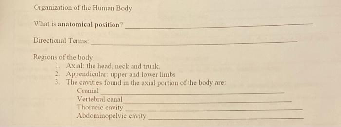 solved-organization-of-the-human-body-what-is-anatomical-chegg