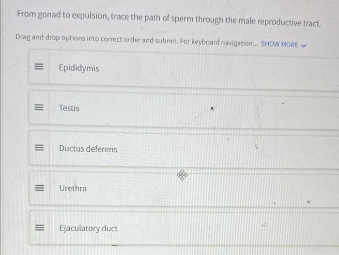Solved From gonad to expulsion, trace the path of sperm | Chegg.com