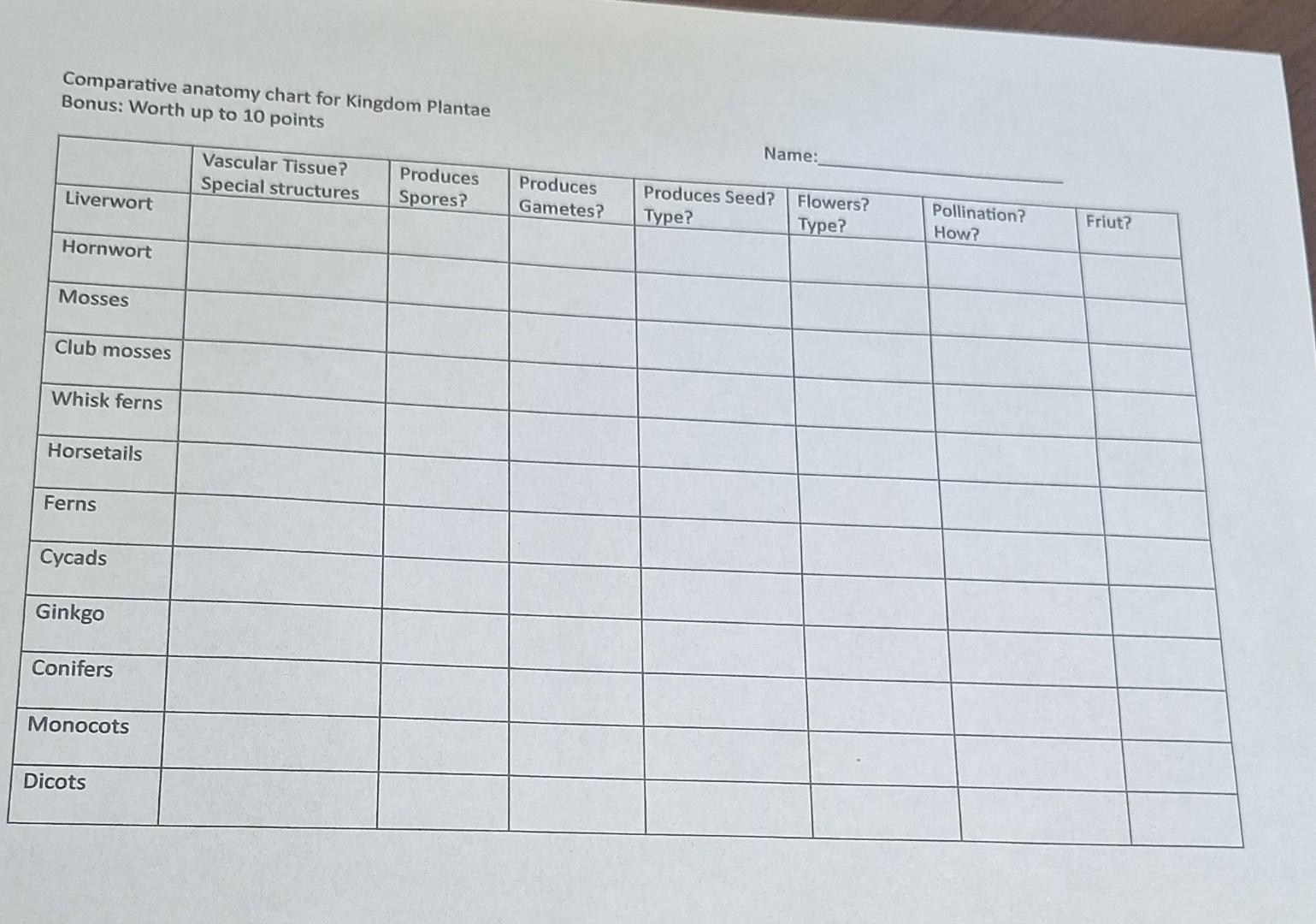 Solved Comparative anatomy chart for Kingdom Plantae Bonus: | Chegg.com