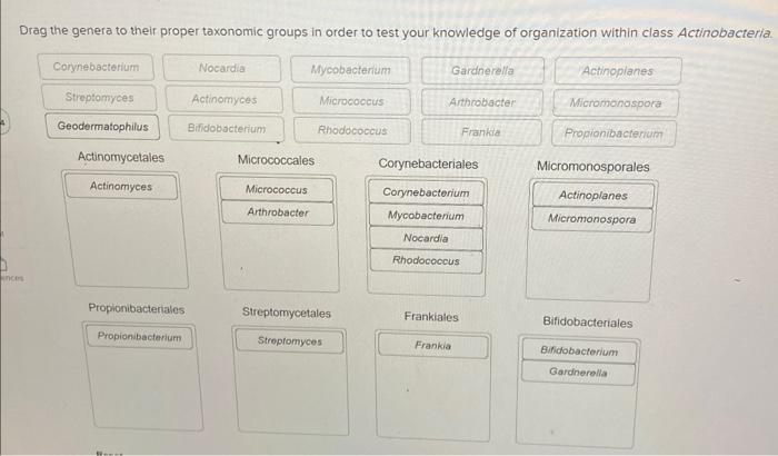 Solved Drag the genera to their proper taxonomic groups in | Chegg.com
