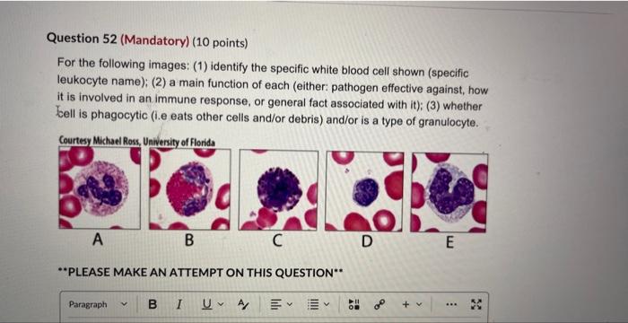 Solved Question 52 (Mandatory) (10 points) For the following | Chegg.com