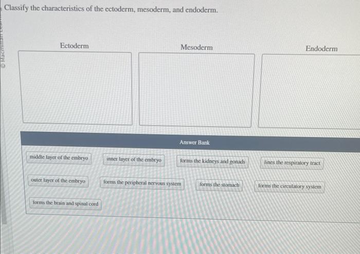 Solved 14Classify the characteristics of the ectoderm, | Chegg.com