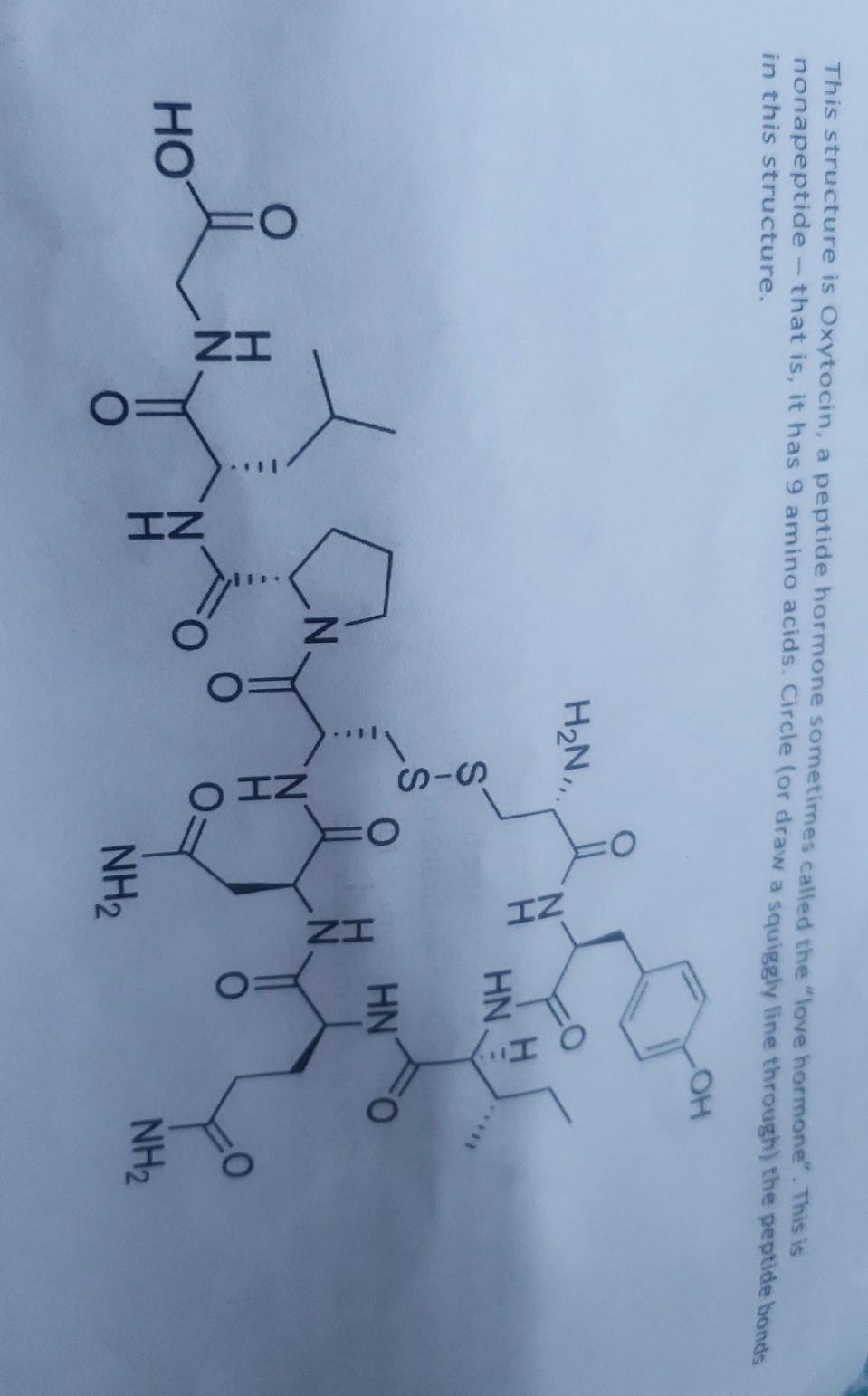 Solved This structure is Oxytocin, a peptide hormone | Chegg.com