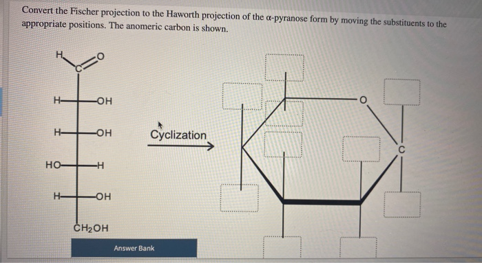 Solved Convert the Fischer projection to the Haworth | Chegg.com