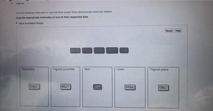 Solved Palla Sort the following molecules or ions into their | Chegg.com