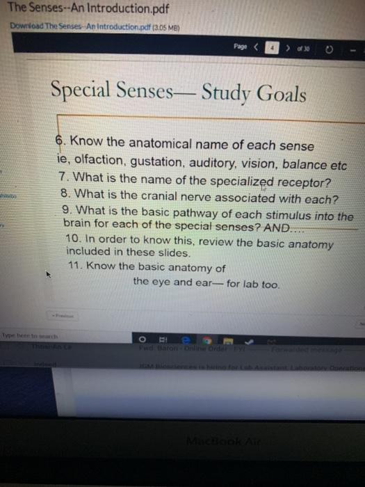 The Senses-An Introduction.pdf Download The Senses-An | Chegg.com