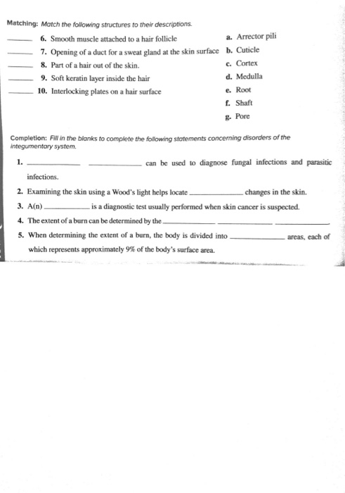Solved Matching: Match the following structures to their | Chegg.com