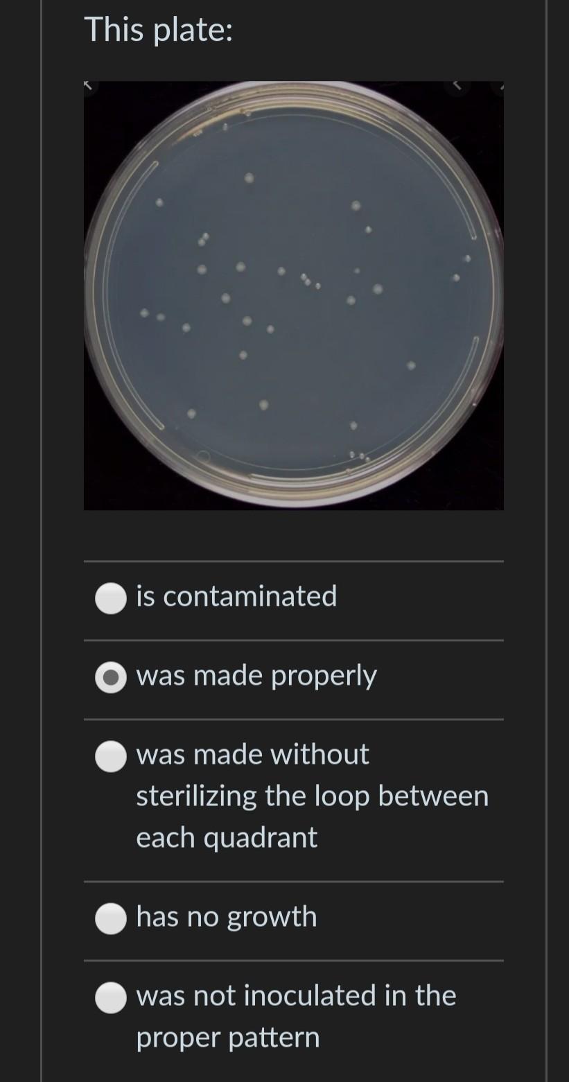 Solved This plate: is contaminated was made properly was | Chegg.com