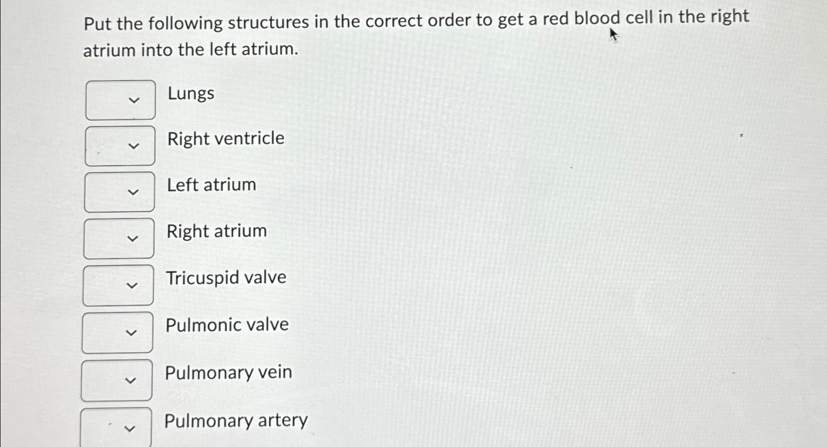 Solved Put the following structures in the correct order to | Chegg.com