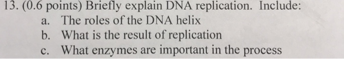 Solved 13. (0.6 points) Briefly explain DNA replication. | Chegg.com