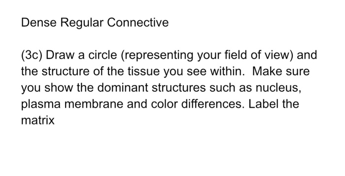 Dense Regular Connective (30) Draw a circle | Chegg.com