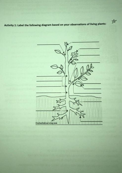 Solved Activity 1: Label the following diagram based on your | Chegg.com