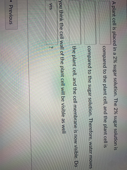 Solved A plant cell is placed in a 2% sugar solution. The 2% | Chegg.com
