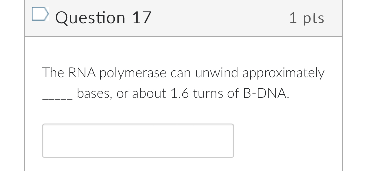 Solved Question 171 ﻿ptsThe RNA polymerase can unwind | Chegg.com