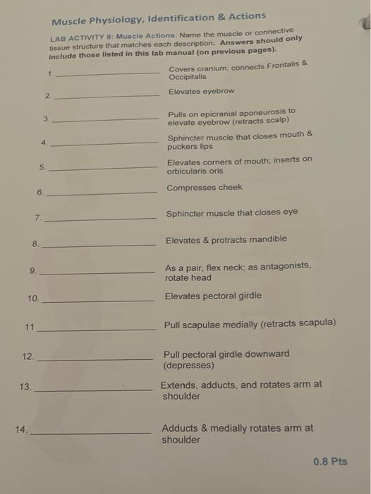 Solved Muscle Physiology, Identification & Actions LAB | Chegg.com
