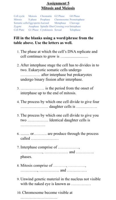 Solved Assignment 5 Mitosis and Meiosis Cell cycle Meiosis | Chegg.com
