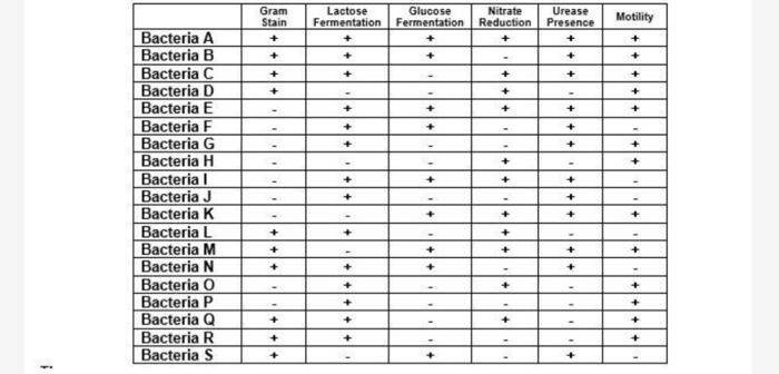 Determining an unknown organism using a flowchart. A | Chegg.com