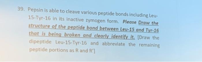 Solved 39. Pepsin is able to cleave various peptide bonds | Chegg.com
