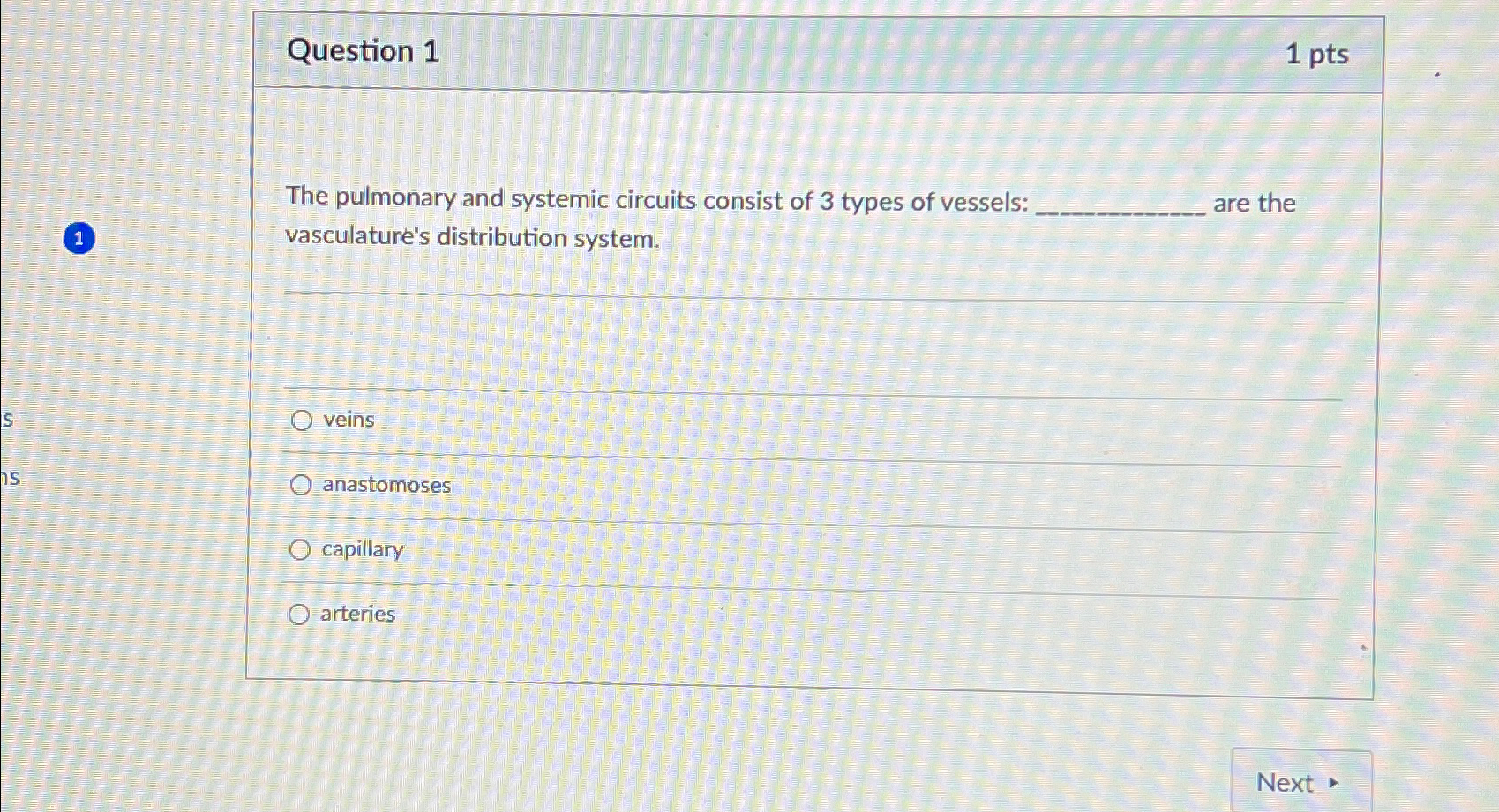 Solved Question 11ptsThe pulmonary and systemic circuits | Chegg.com
