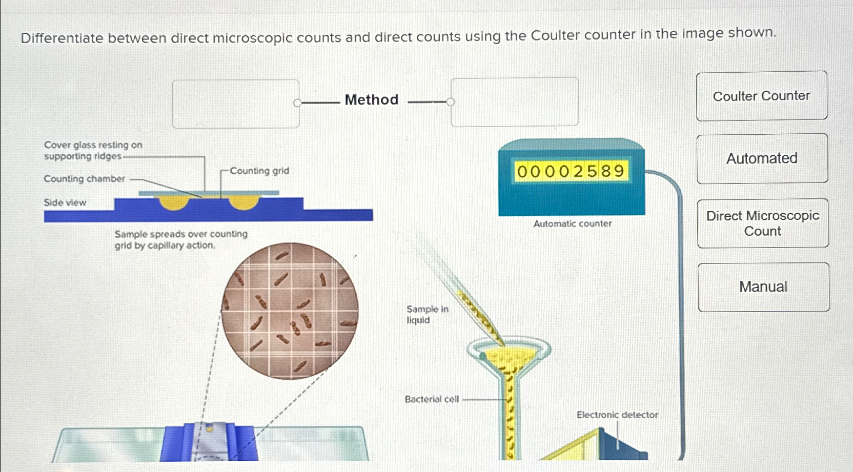 Solved Differentiate between direct microscopic counts and | Chegg.com