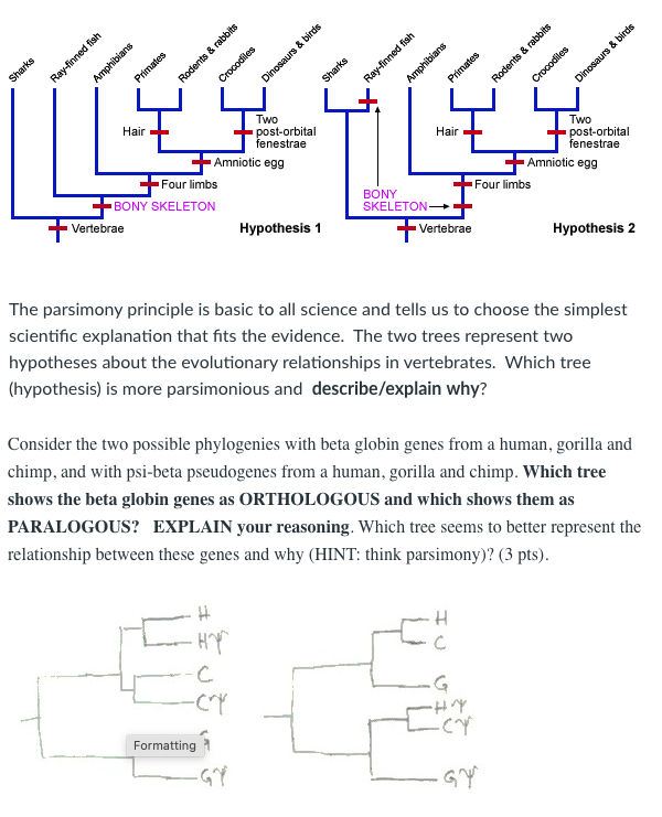 Solved The parsimony principle is basic to all science and | Chegg.com