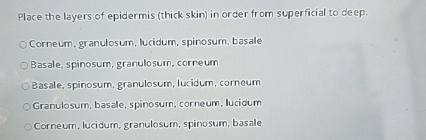 Solved Place the layers of epidermis (thick skin) ﻿in order | Chegg.com
