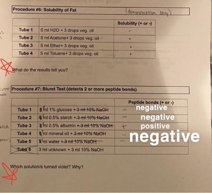 Solved dine + fue stanci Procedure #2: Lugol's Test forWhat | Chegg.com