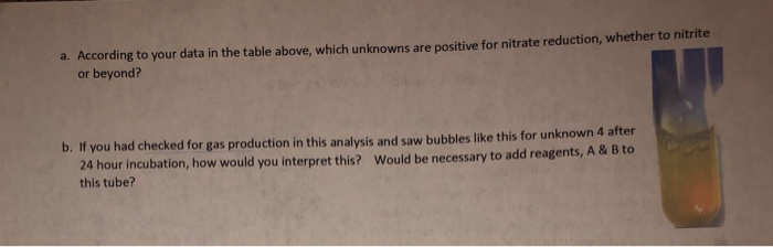 Solved Name: Dahna Bercik TA/Lab Period: MW 7-8:30 Lab 8 | Chegg.com