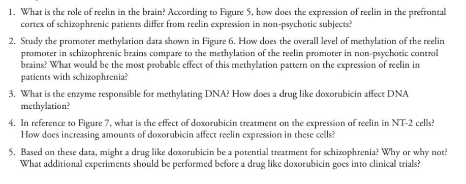 Solved 1. What is the role of reelin in the brain? According | Chegg.com