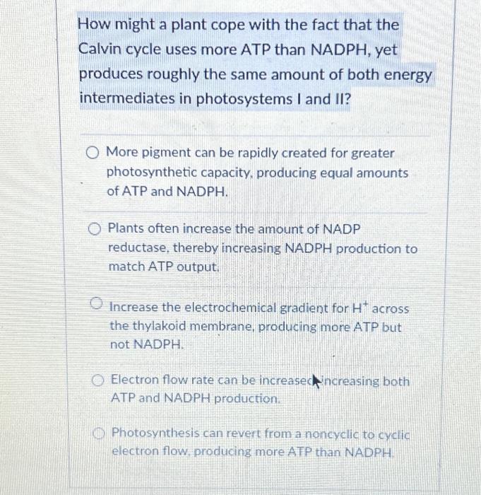 Solved How might a plant cope with the fact that the Calvin | Chegg.com