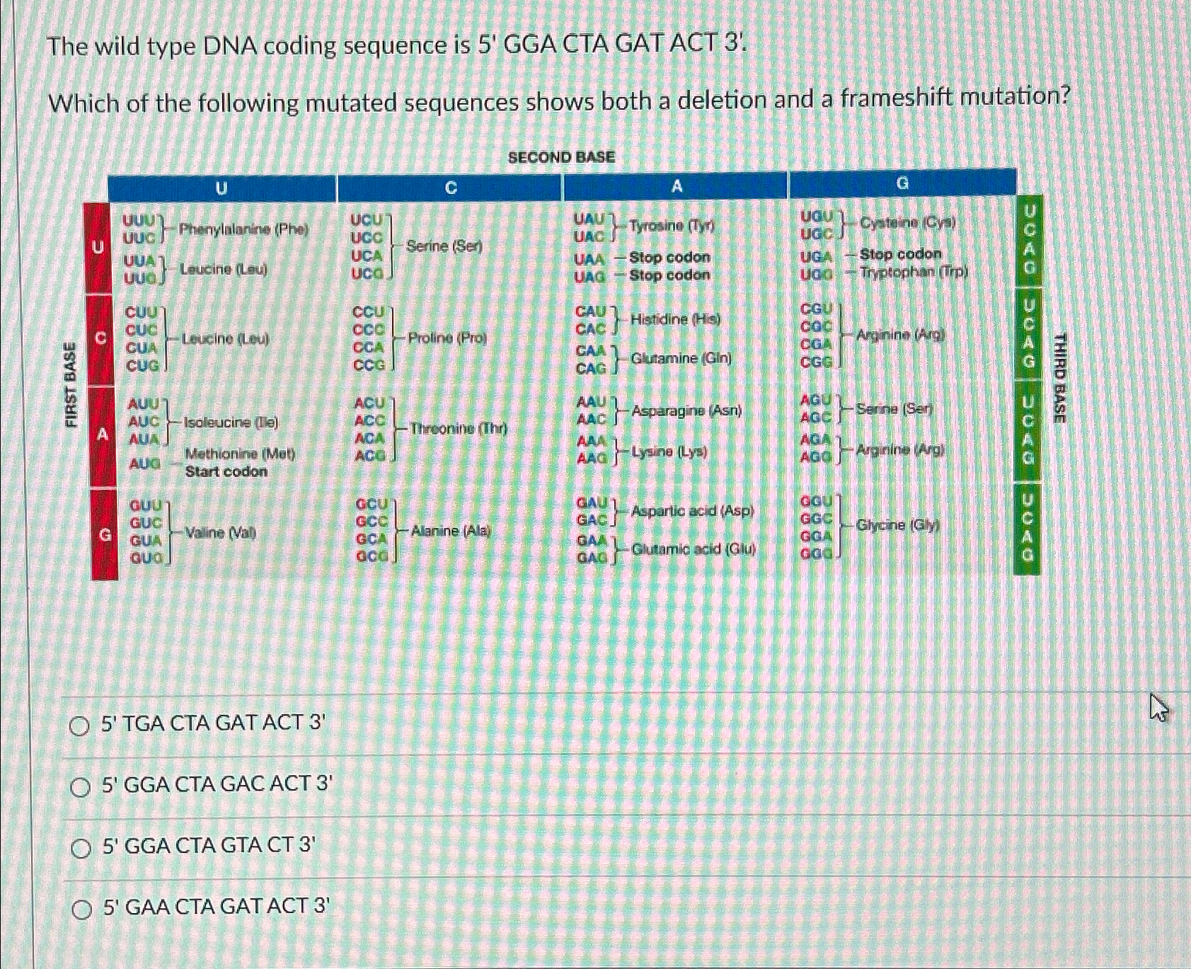 The wild type DNA coding sequence is 5' ﻿GGA CTA GAT | Chegg.com